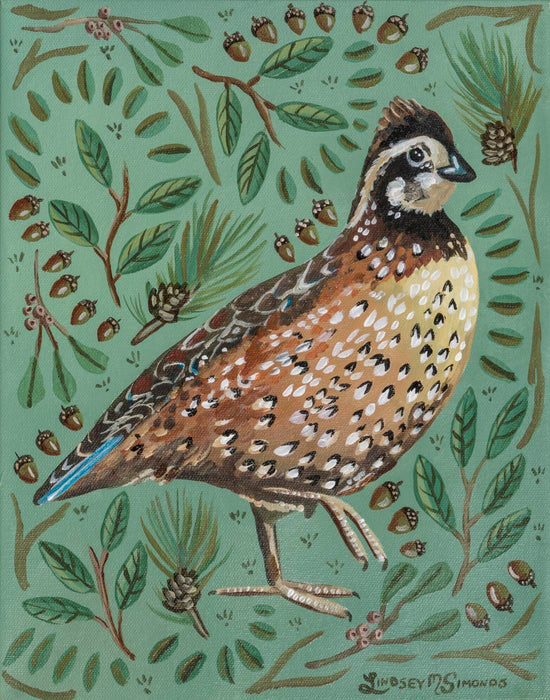 Bobwhite Quail – Litore Studio