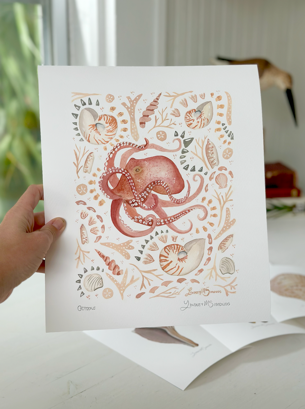 Octopus – Litore Studio