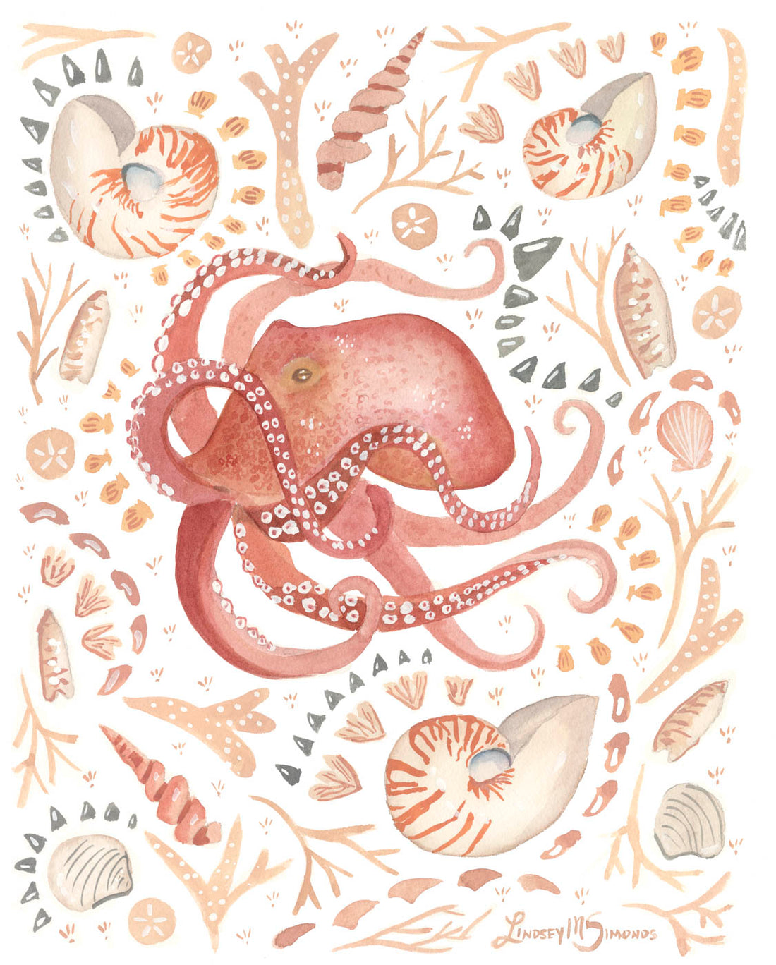 Octopus – Litore Studio